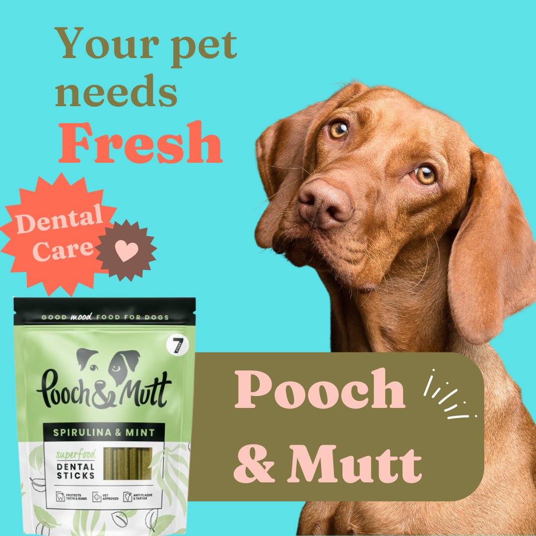 Pooch & Mutt Healthy Dog Food | Natural Grain-Free Recipes – Hungry Tails